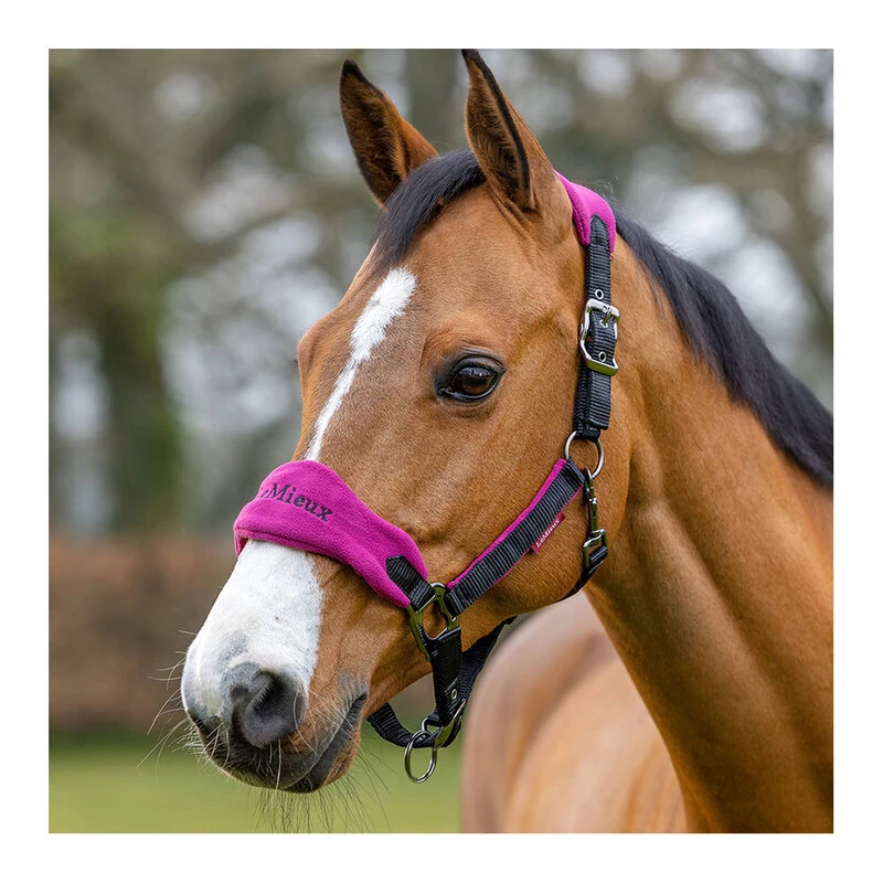 Lemieux Vogue Headcollar & Leadrope Headcollar & Lead Rope (Purple)